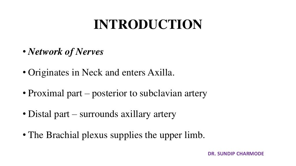 Axilla - 2 (Brachial plexus and clinical correlates).pptx