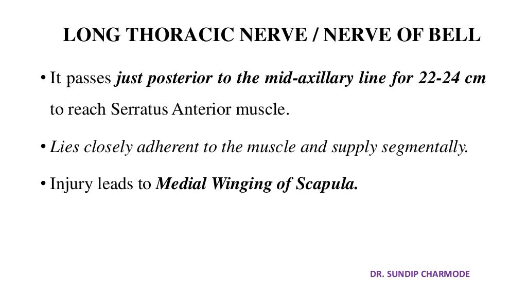 Axilla - 2 (Brachial plexus and clinical correlates).pptx