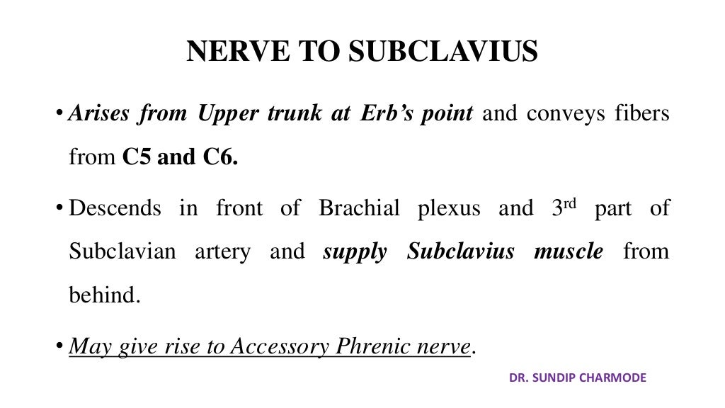 Axilla - 2 (Brachial plexus and clinical correlates).pptx
