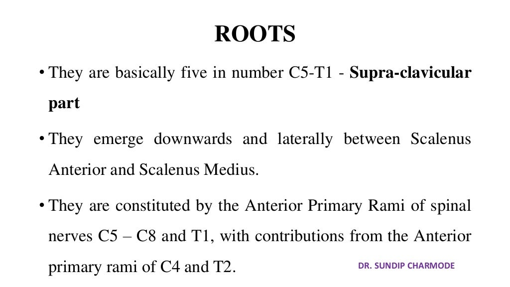 Axilla - 2 (Brachial plexus and clinical correlates).pptx