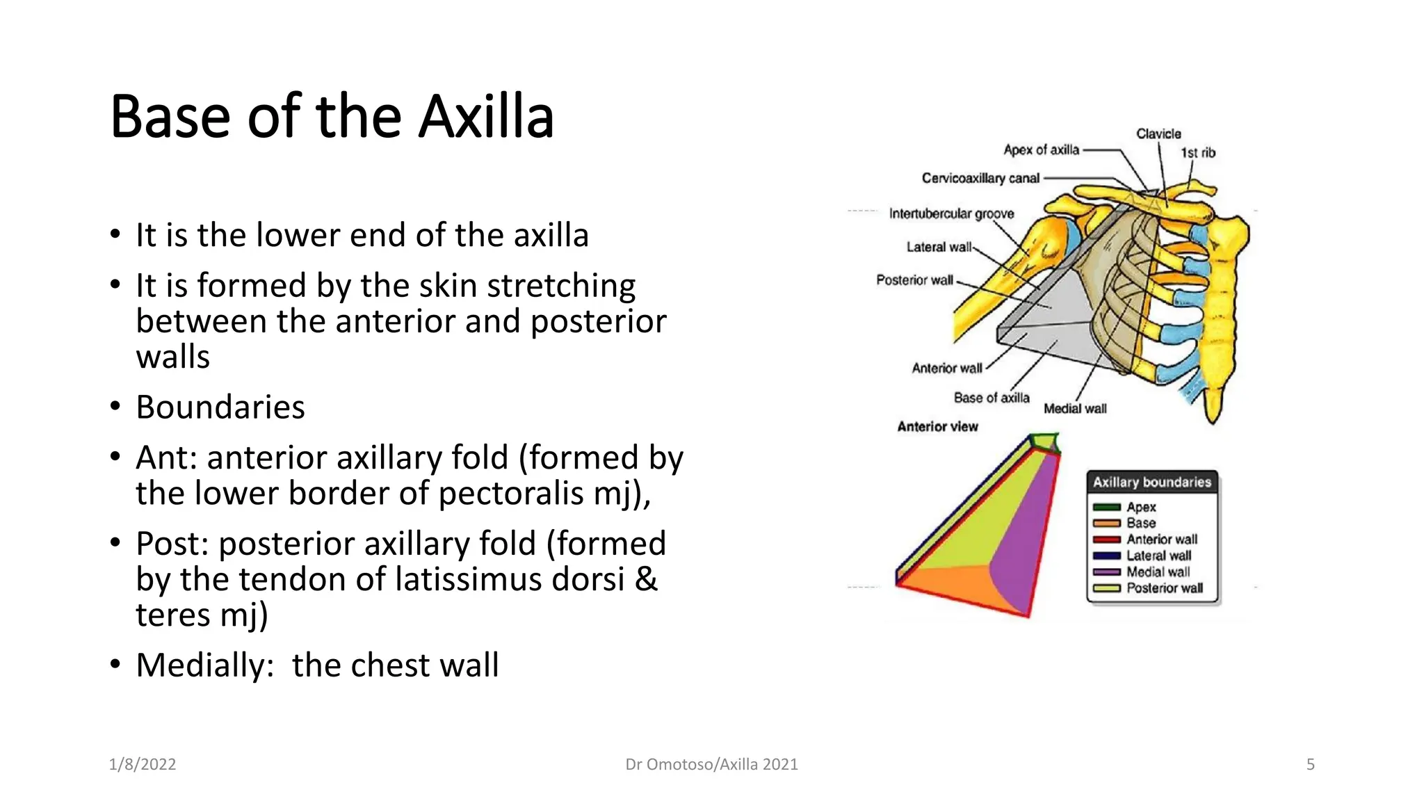 ANATOMY OF THE UPPER LIMBSSAxilla 2.pdf