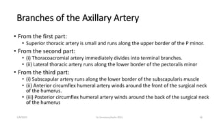 ANATOMY OF THE UPPER LIMBSSAxilla 2.pdf