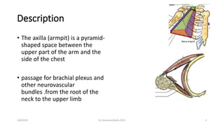 ANATOMY OF THE UPPER LIMBSSAxilla 2.pdf