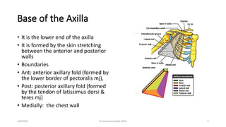ANATOMY OF THE UPPER LIMBSSAxilla 2.pdf