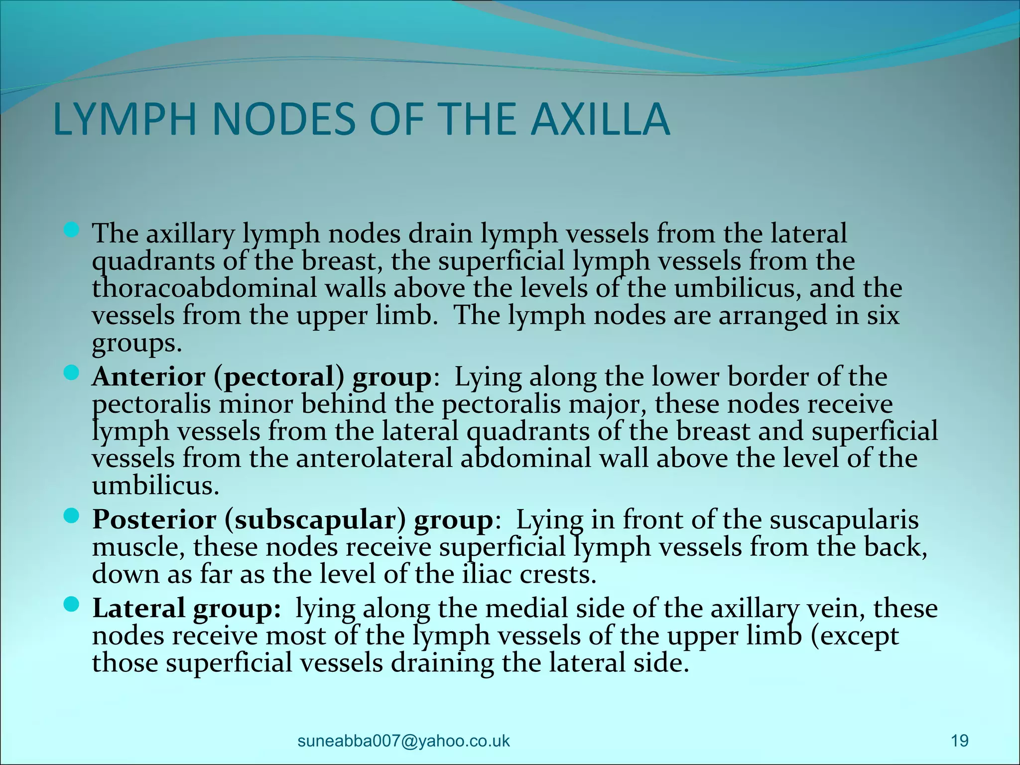 Axilla and brachial plexus abba | PPT