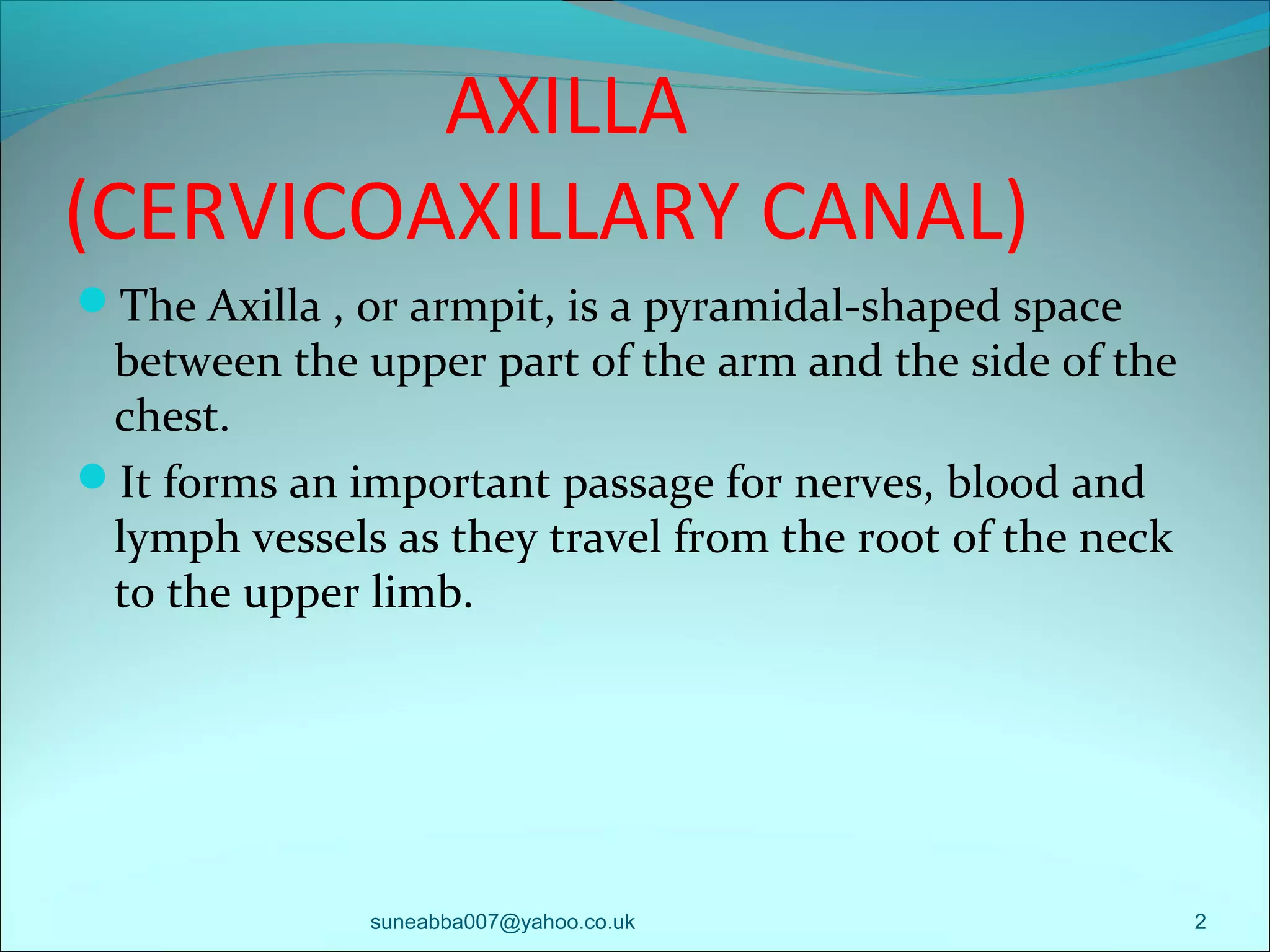 Axilla and brachial plexus abba | PPT