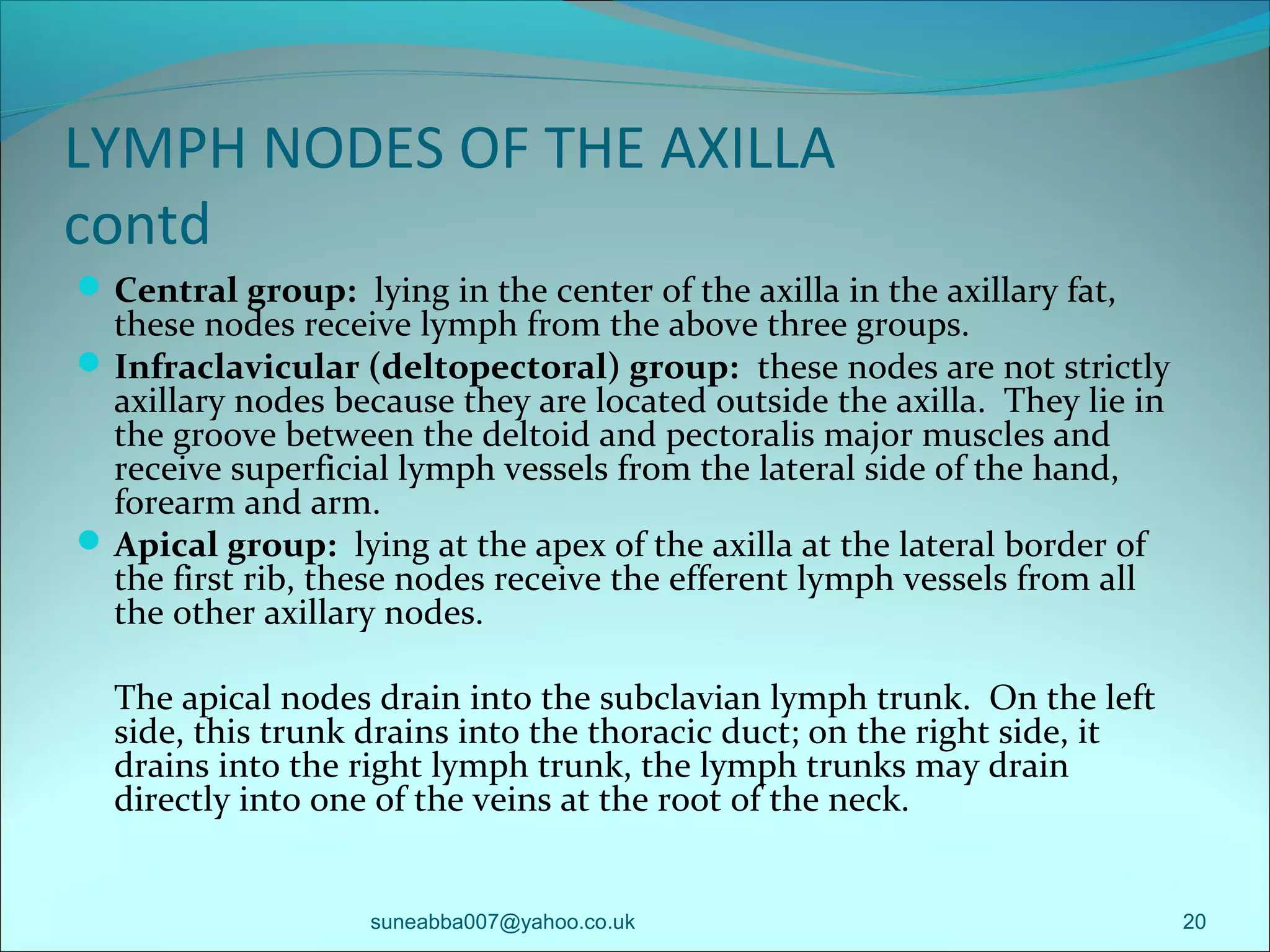 Axilla and brachial plexus abba | PPT