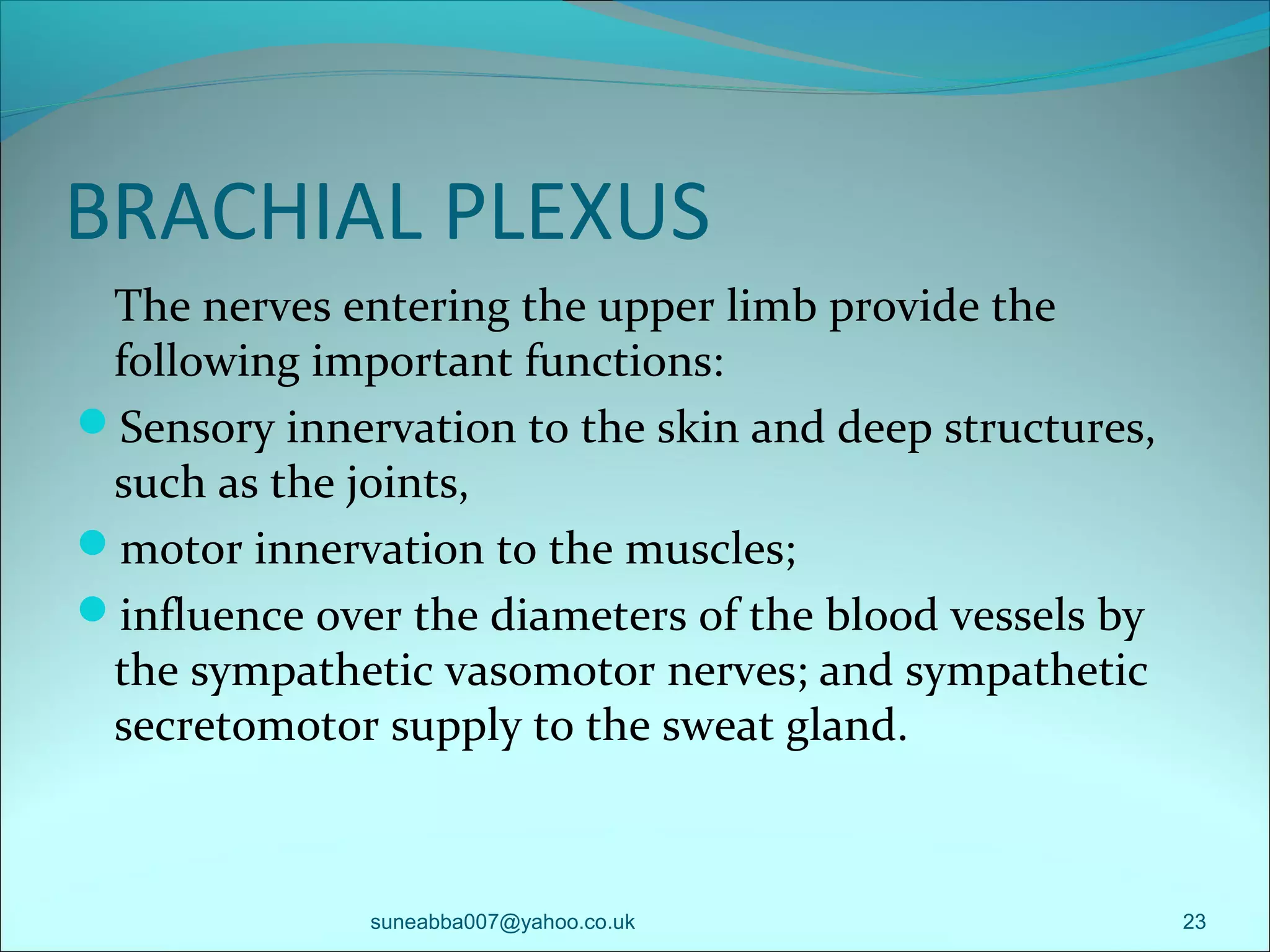 Axilla and brachial plexus abba | PPT