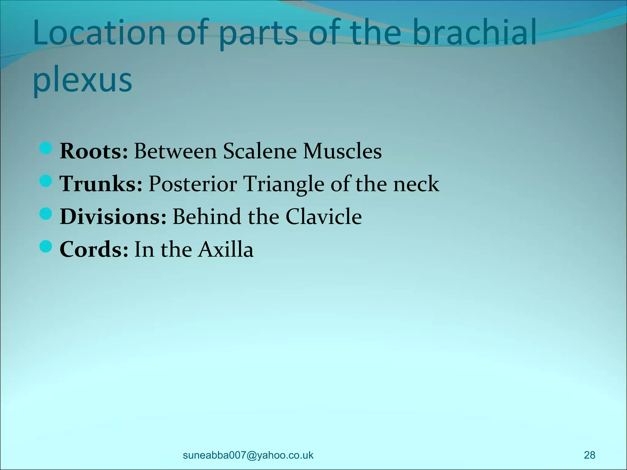 Axilla and brachial plexus abba | PPT