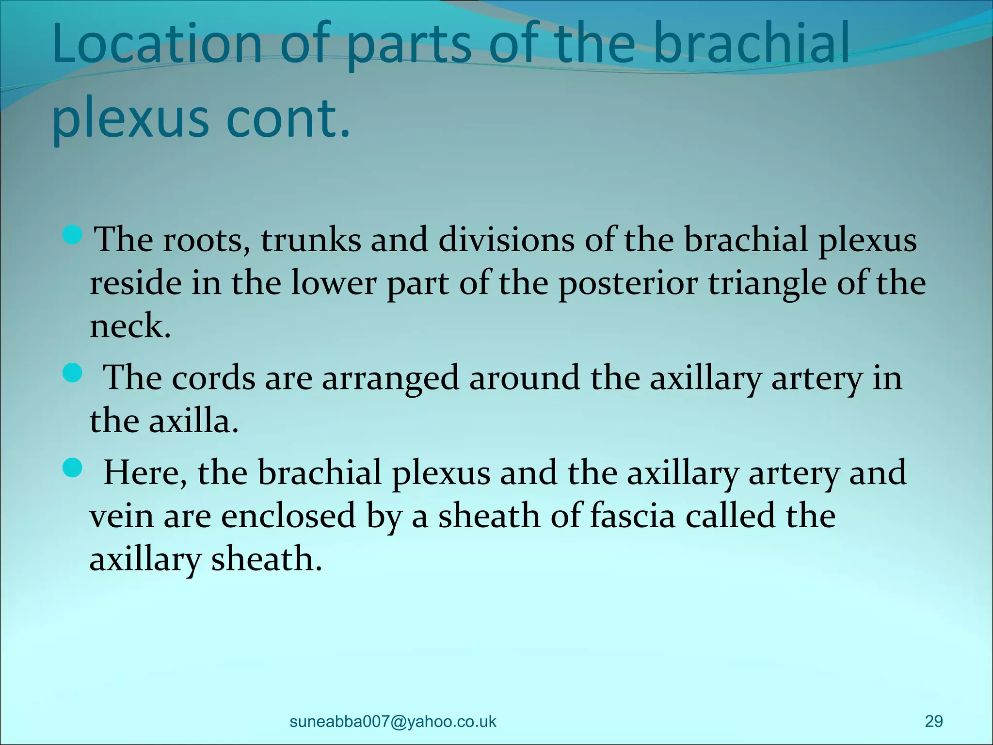Axilla and brachial plexus abba | PPT