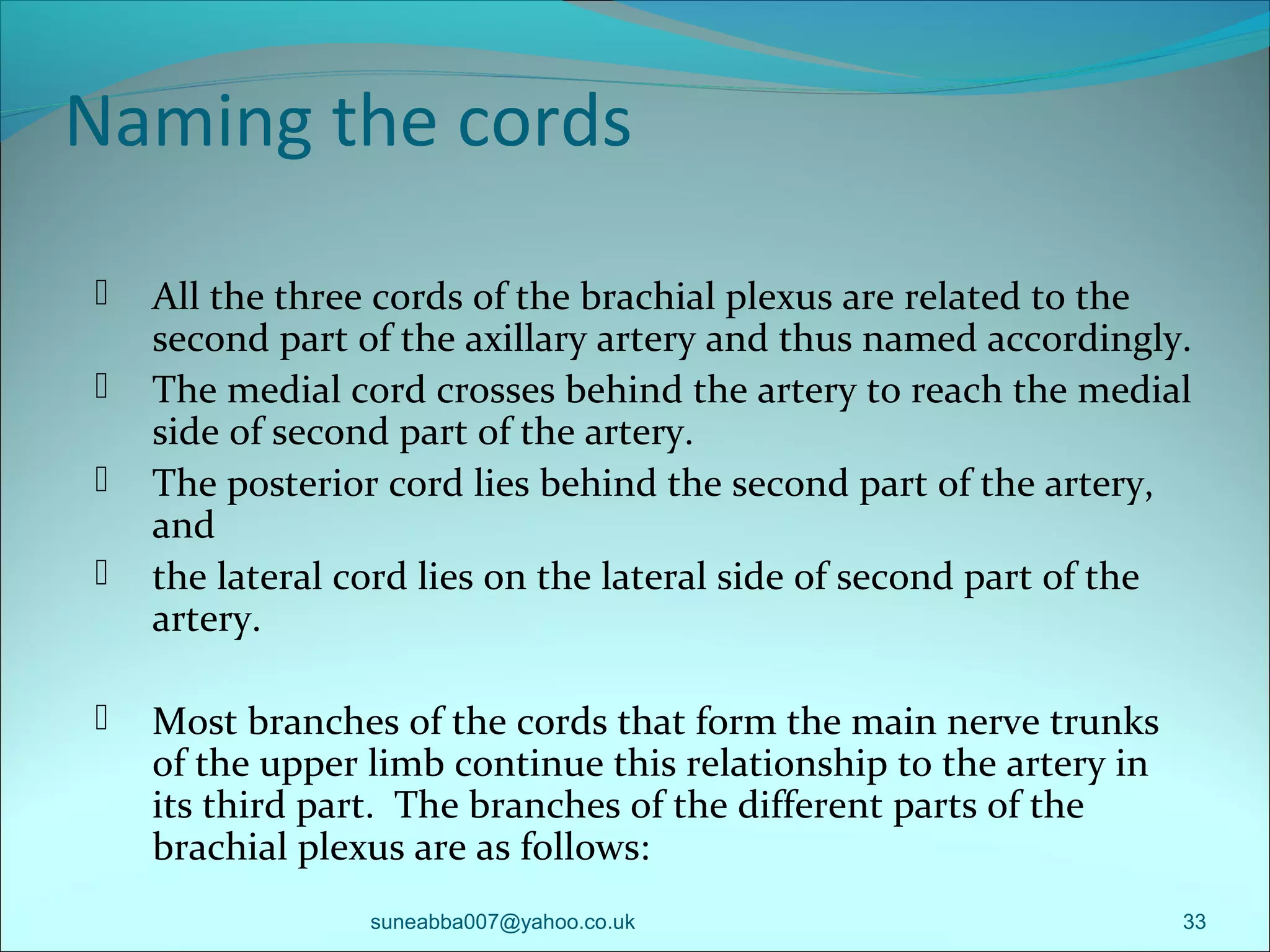 Axilla and brachial plexus abba | PPT