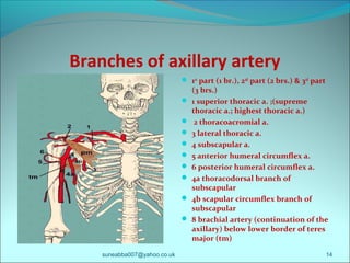 Axilla and brachial plexus abba | PPT