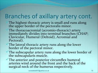 Axilla and brachial plexus abba | PPT
