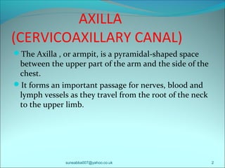 Axilla and brachial plexus abba | PPT