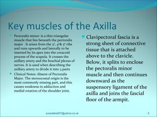 Axilla and brachial plexus abba | PPT