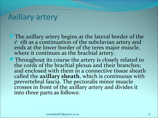 Axilla and brachial plexus abba | PPT