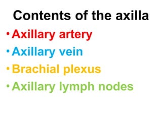 Axilla and its content with clinical applications | PPTX