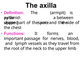 Axilla and its content with clinical applications | PPTX
