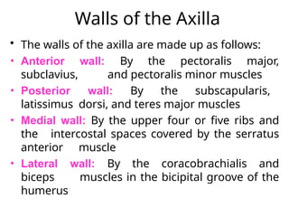 Axilla and its content with clinical applications | PPT