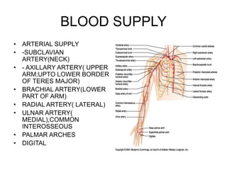 axilla brachial plexus.ppt