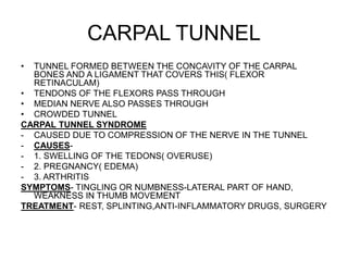 axilla brachial plexus.ppt