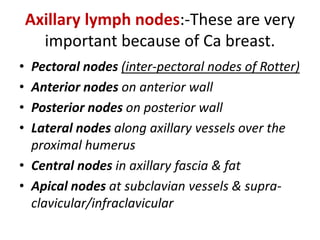Anotomy of Axilla Region. By Dr. G Kamau. | PPTX