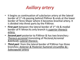 Anotomy of Axilla Region. By Dr. G Kamau. | PPT