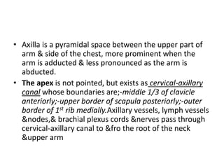 Anotomy of Axilla Region. By Dr. G Kamau. | PPTX