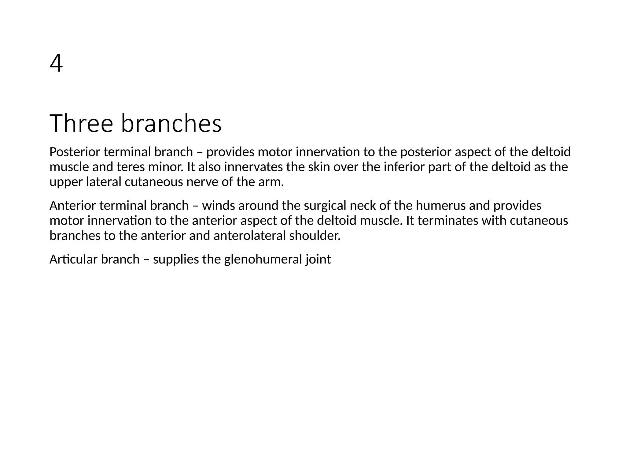 axillary 3.axillary nerve , axillary nerve | PPTX