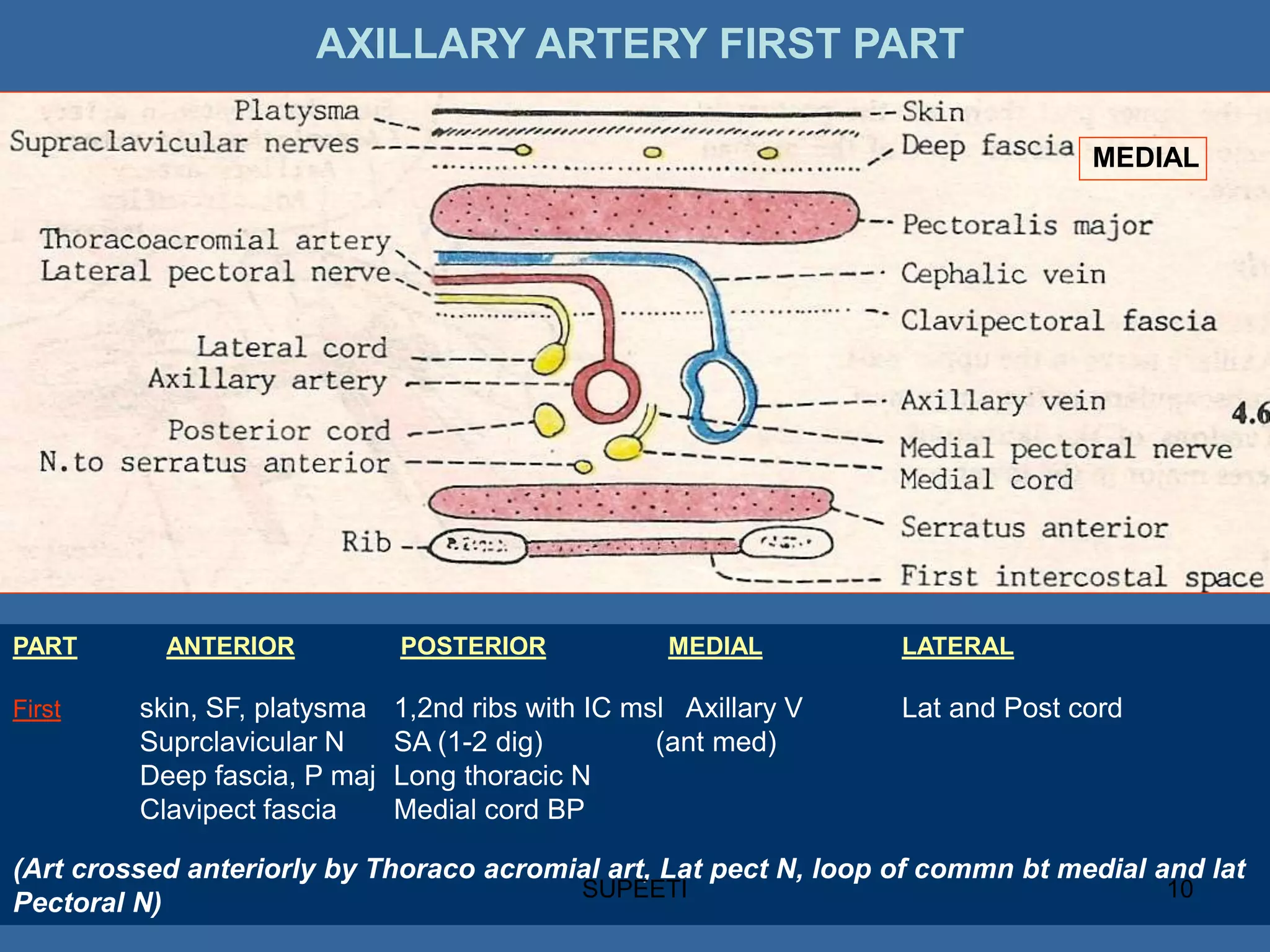 AXILLARY ARTERY.ppt