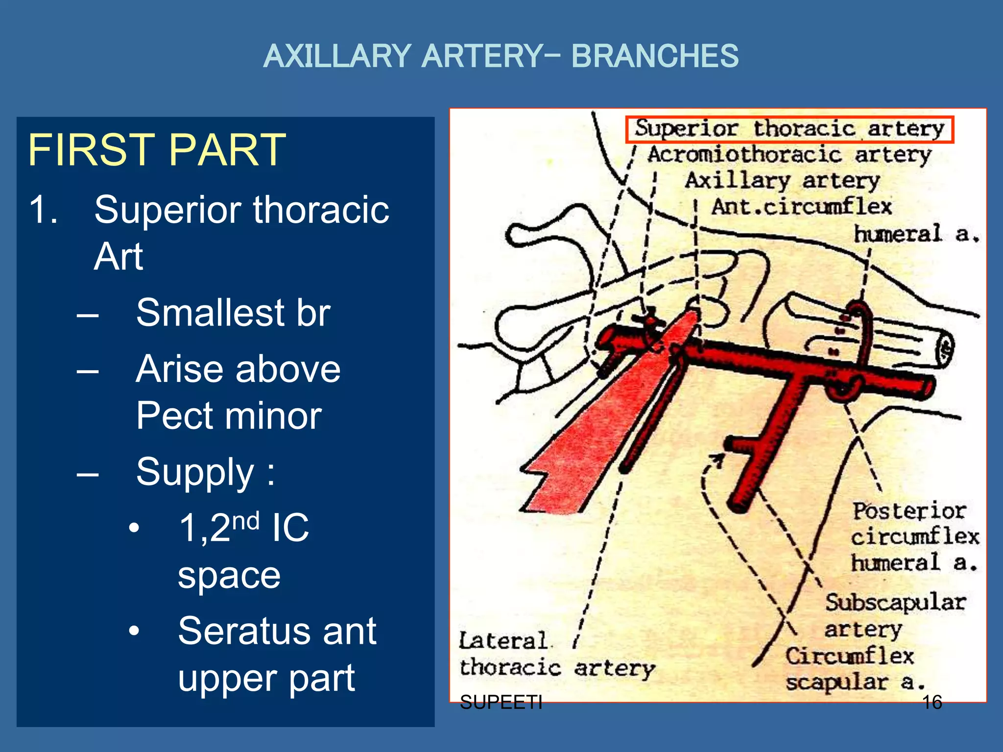 AXILLARY ARTERY.ppt