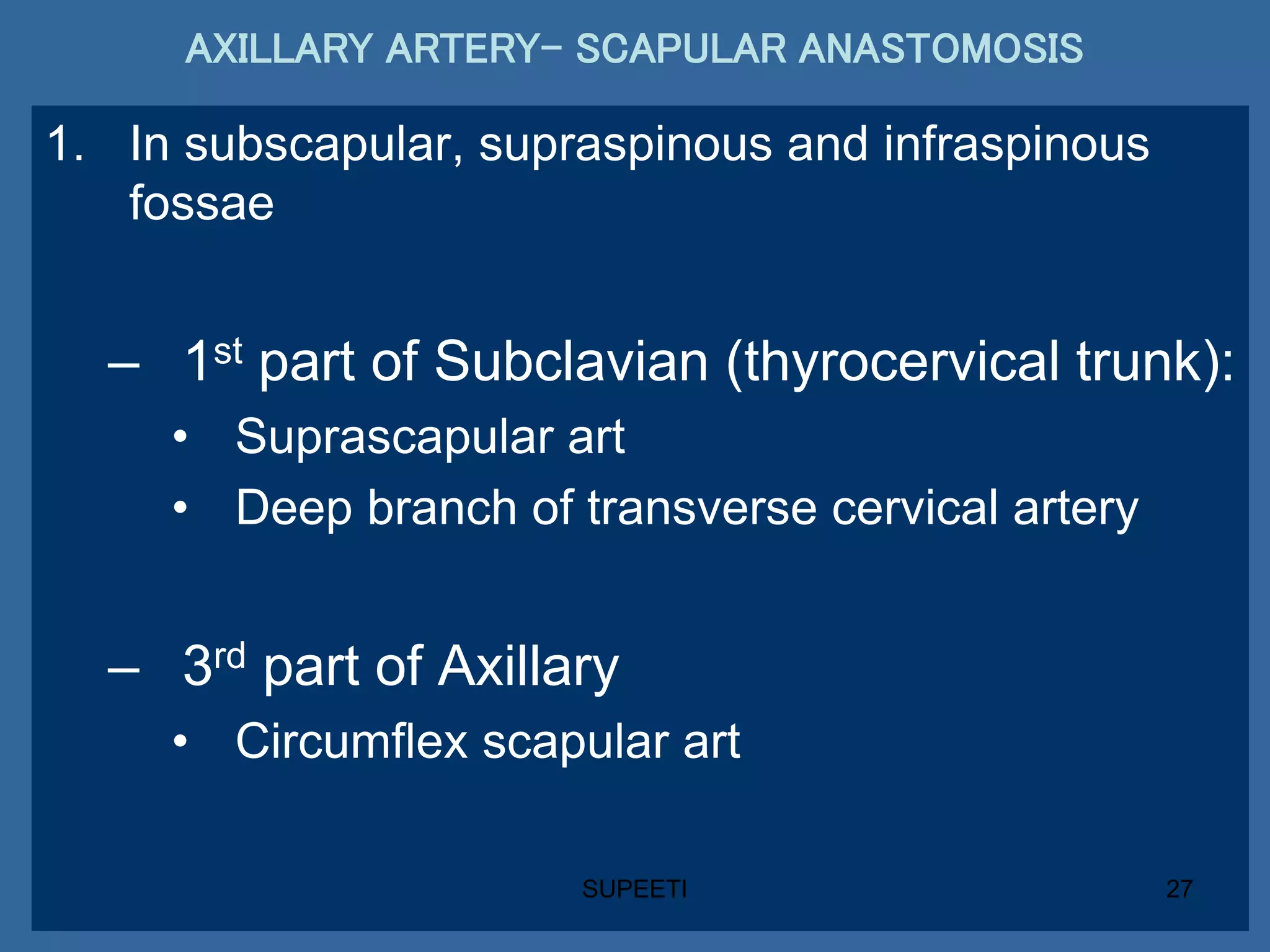 AXILLARY ARTERY.ppt