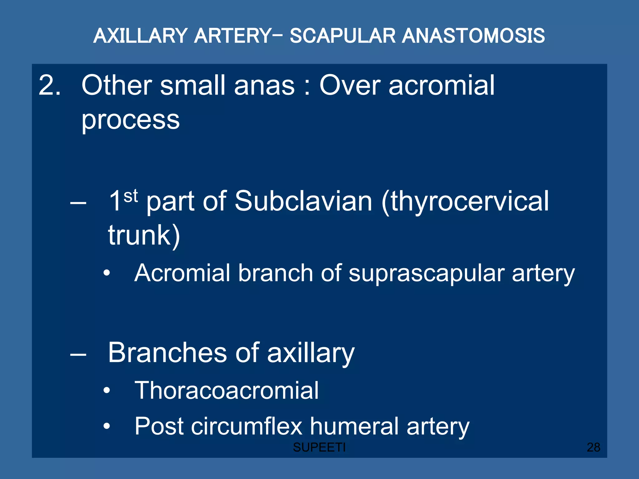 AXILLARY ARTERY.ppt