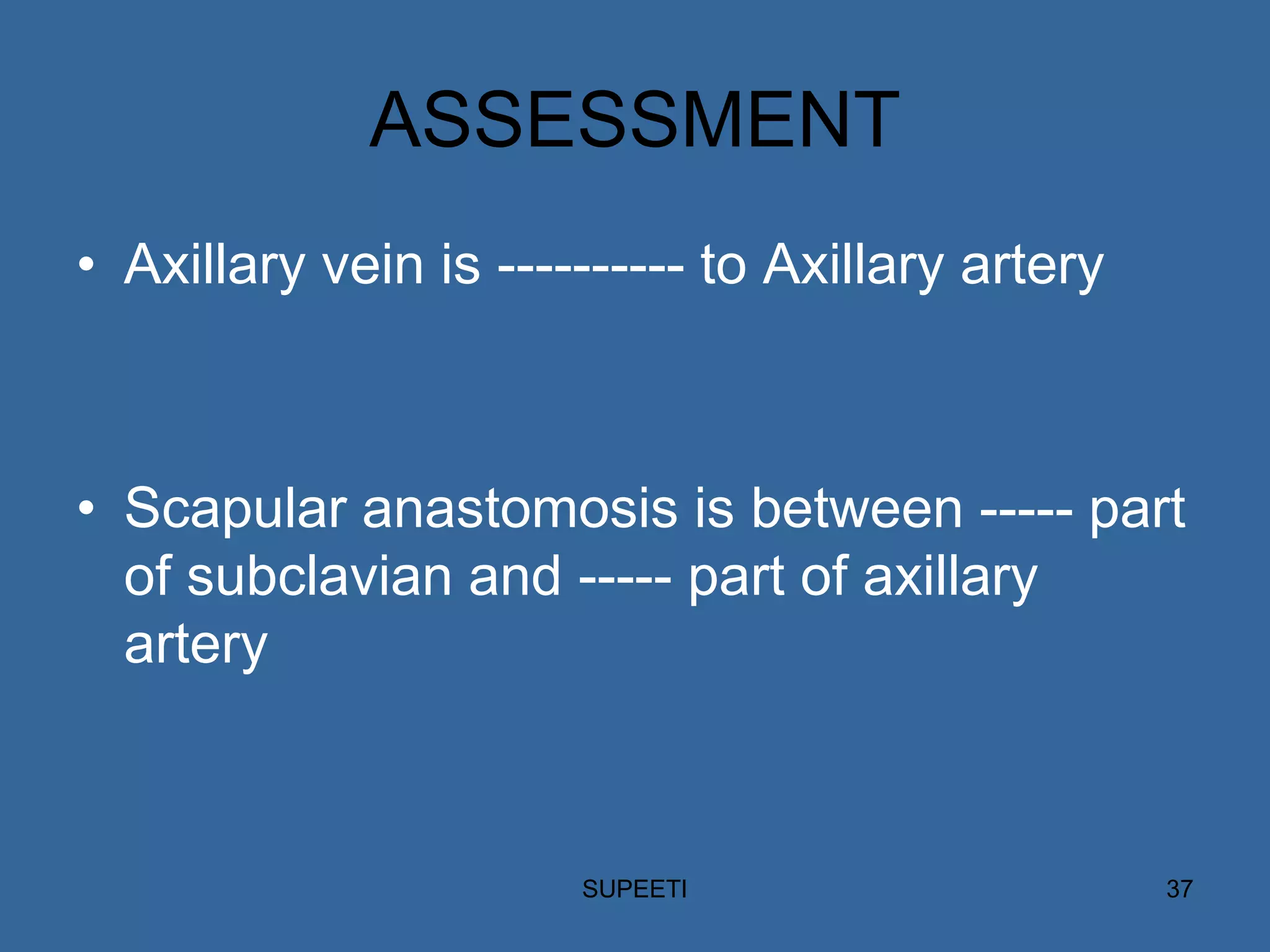 AXILLARY ARTERY.ppt