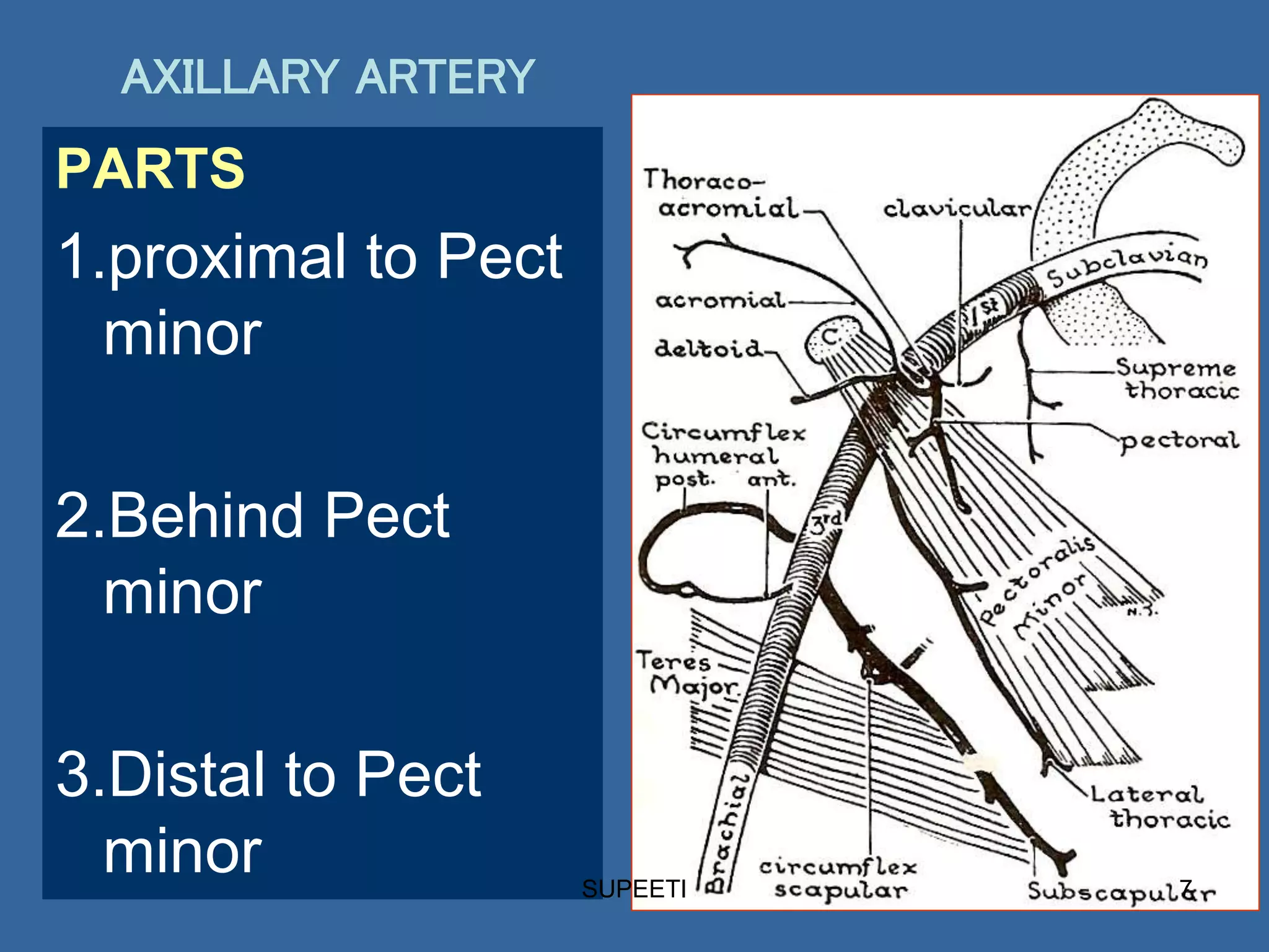 AXILLARY ARTERY.ppt