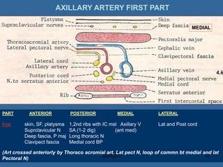 AXILLARY ARTERY.ppt