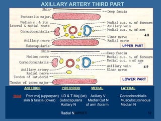 AXILLARY ARTERY.ppt