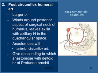 AXILLARY ARTERY.ppt