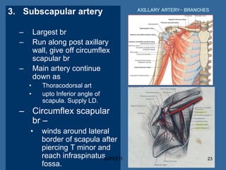 AXILLARY ARTERY.ppt