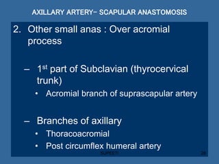 AXILLARY ARTERY.ppt