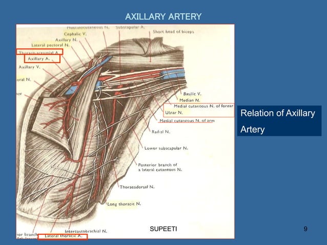 AXILLARY ARTERY.ppt