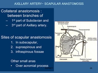 AXILLARY ARTERY.ppt