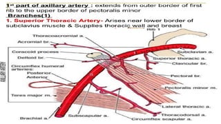 Axillary artery of axilla and upper limb.pptx
