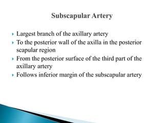 axillary artery-vein-nerve.ppt