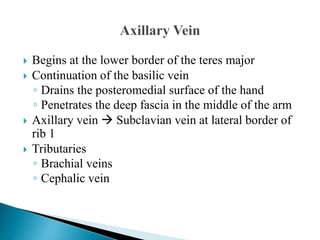 axillary artery-vein-nerve.ppt