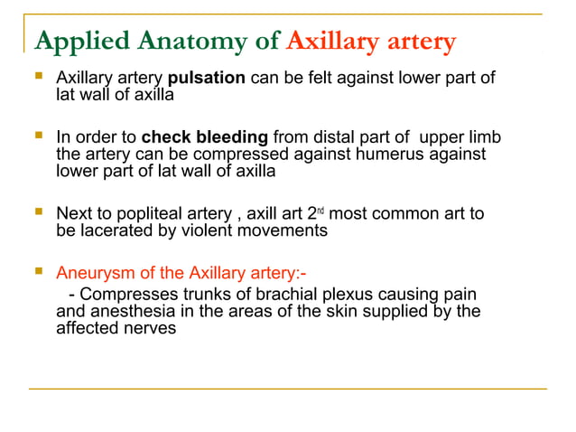 Axillary artery and axillary vein | PPT