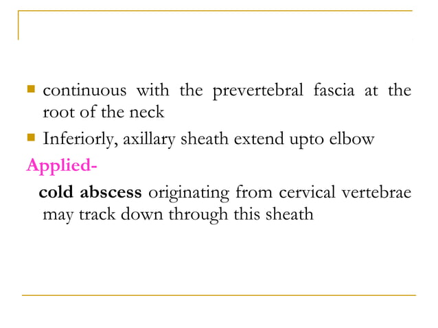 Axillary artery and axillary vein | PPT