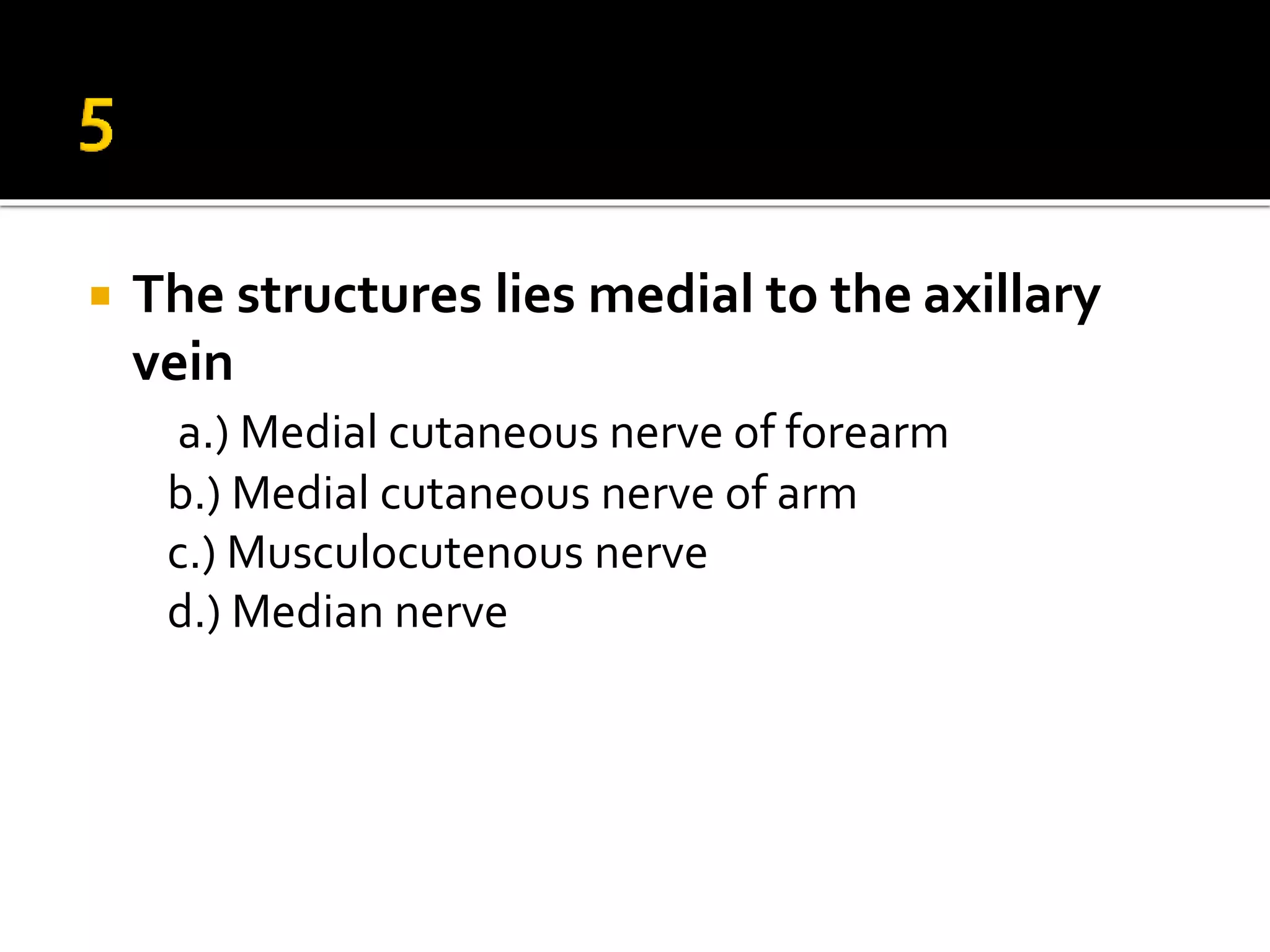 Axillary artery & Axillary vein ppt.pptx