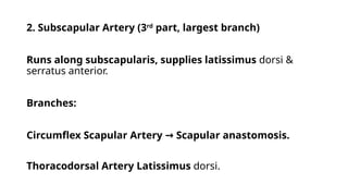 AxillaryArtery Branches presented by Varshitha | PPTX