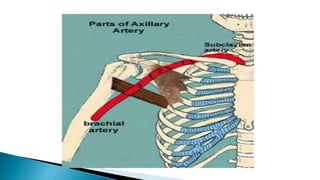 Axillary artey ppt | PPTX